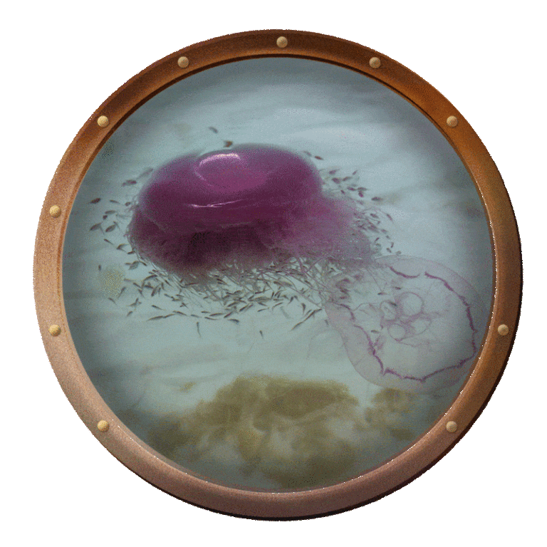 Everything to Know About Jellyfish in the Florida Keys