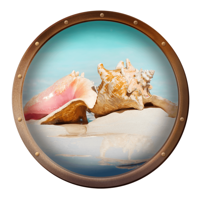 Queen Conch Facts | Learn About Queen Conch In Key West