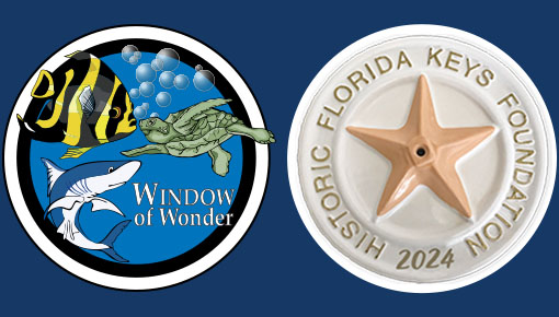 Blue Tang Fish Facts | Blue Tang Fish In The Florida Keys