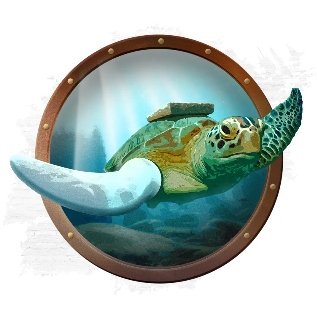 Key West Aquarium | Top Rated Key West Attraction Since 1946
