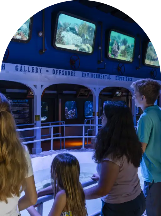 Key West Aquarium | Top Rated Key West Attraction Since 1946