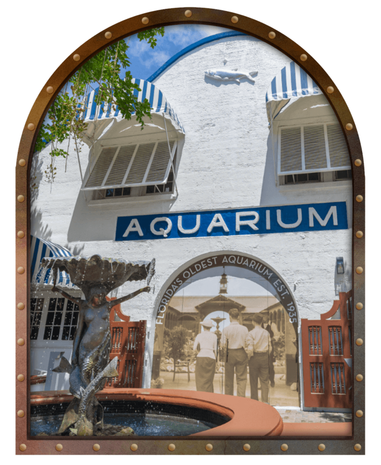 Key West Aquarium | Top Rated Key West Attraction Since 1946